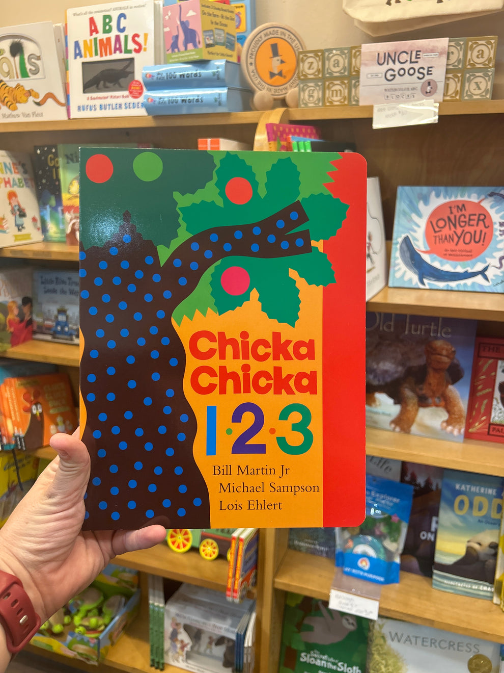 Chicka Chicka 1,2,3 Board Book – Curious Turtle